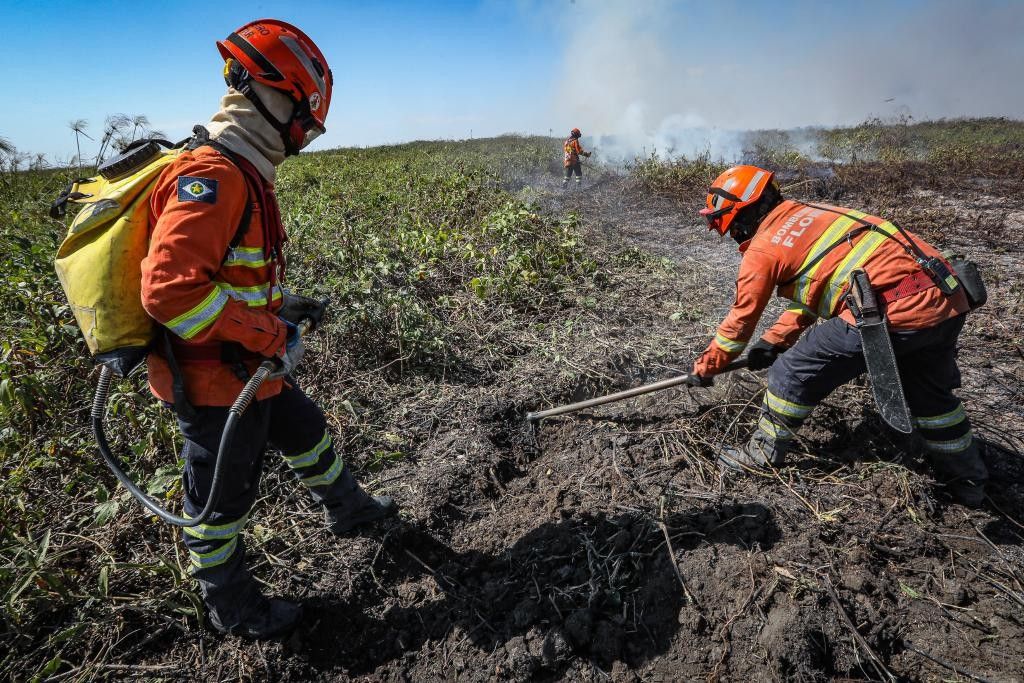 Corpo de Bombeiros abre 150 vagas para brigadistas temporários em MT