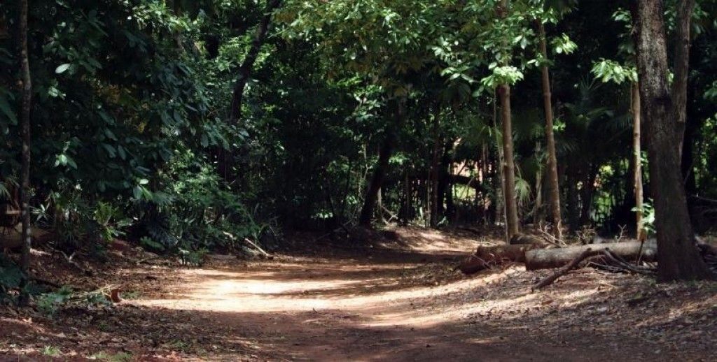 Prefeitura promove trilha educativa no Horto Florestal
