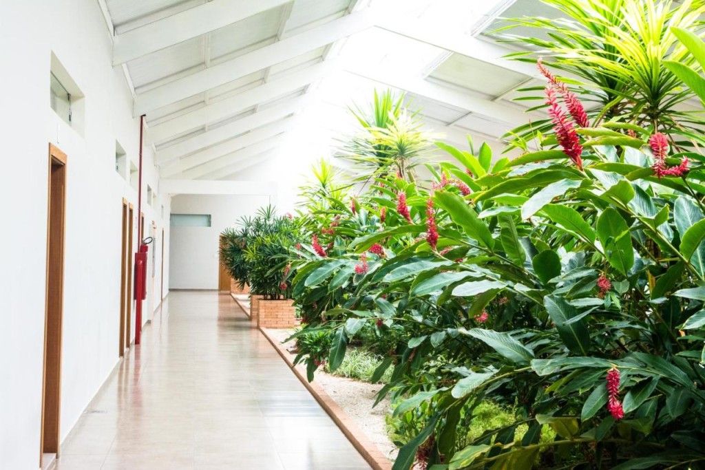 Conheça o Hotel Vila Verde em Penápolis, sinônimo de conforto e comodidade