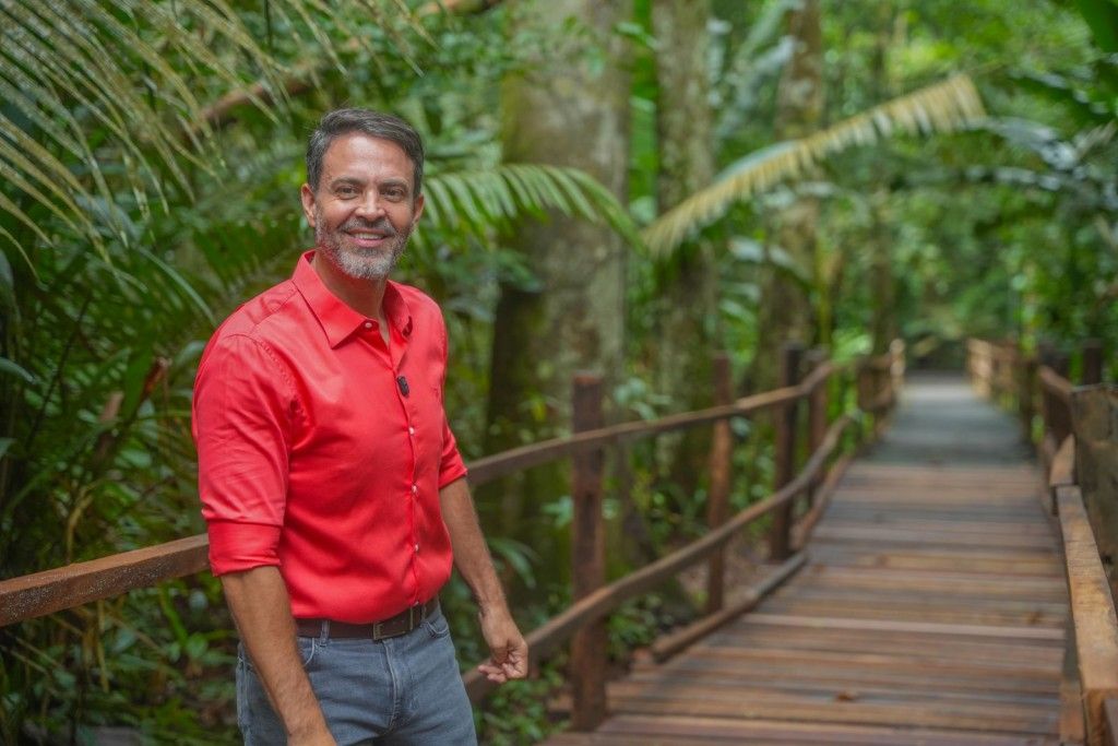 Nova trilha suspensa leva visitantes para dentro da floresta no Parque ...