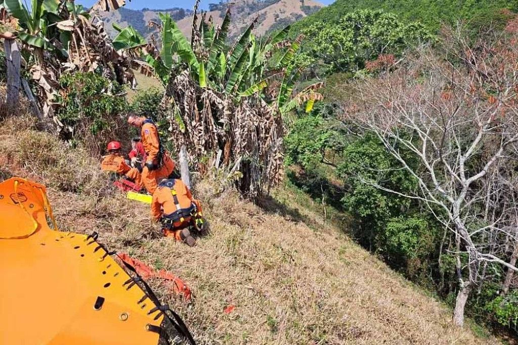 Bombeiros resgatam trabalhador atacado por boi bravo em fazenda de ...