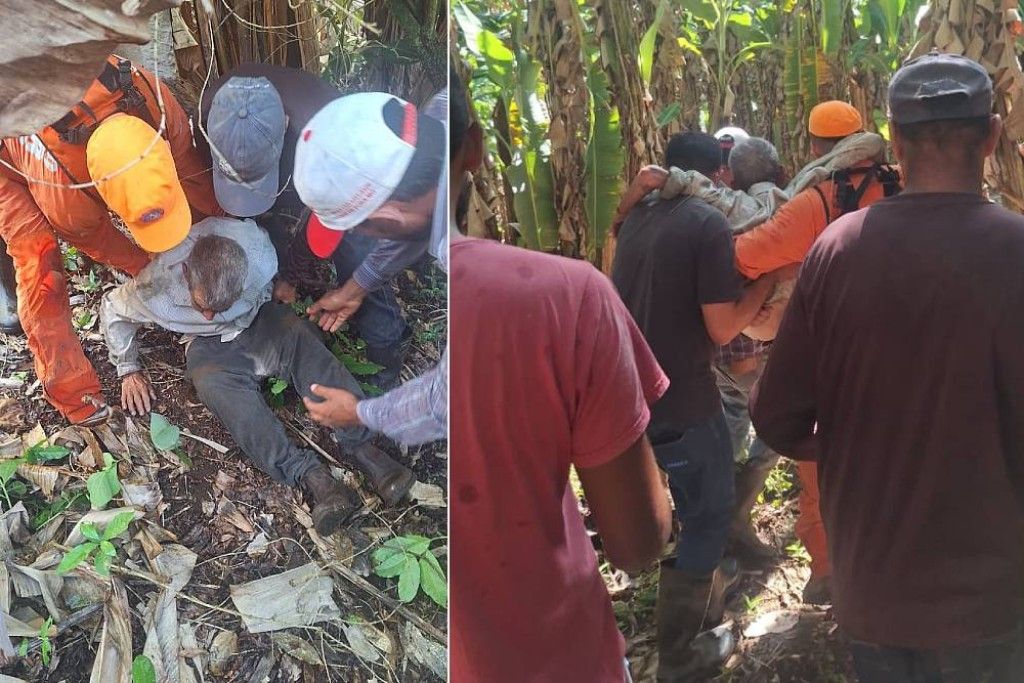 Idoso de 90 anos se perde em plantação de bananas e é resgatado por ...