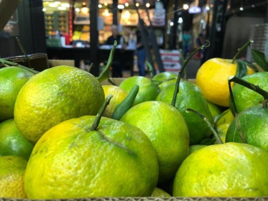 Conheça a mexerica Rio