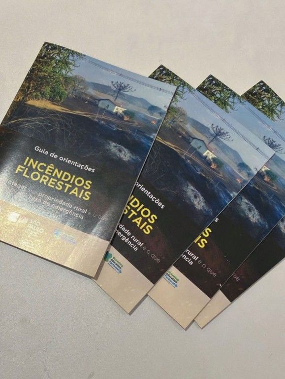 Corpo de Bombeiros de SP cria guia sobre prevenção a incêndios em áreas ...