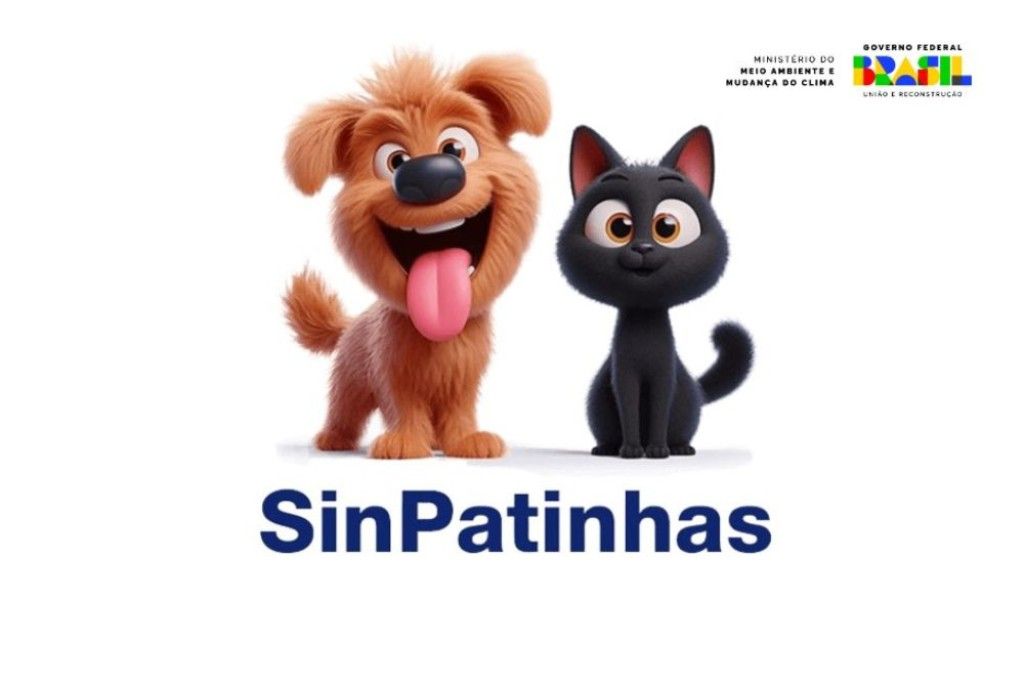 Veja como funciona o SinPatinhas, o RG Animal para cães e gatos