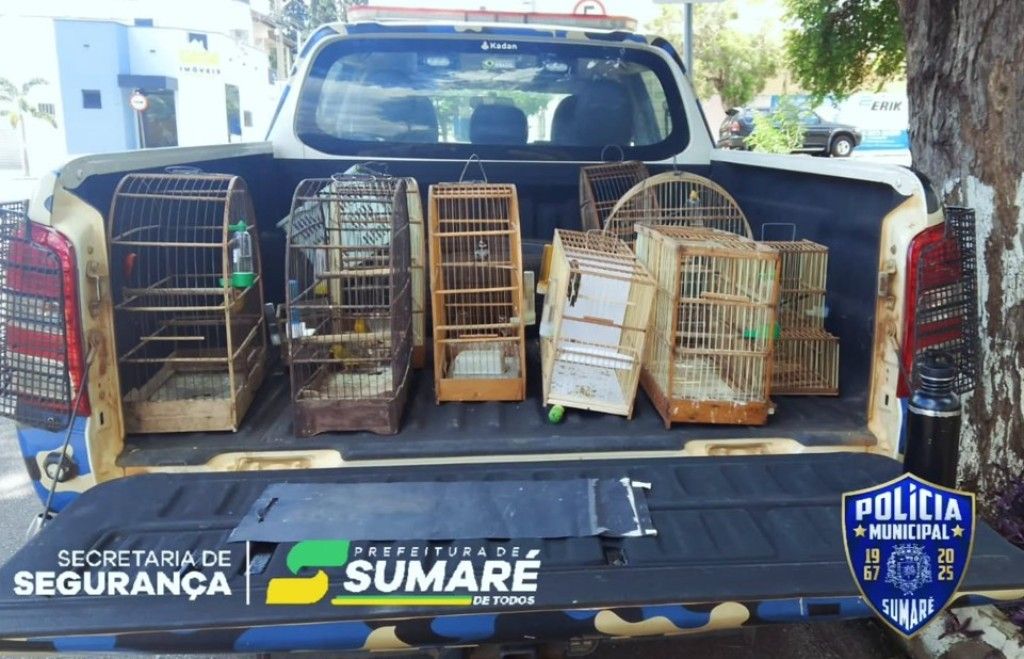 GPA apreende pássaros silvestres em ação no bairro Bom Retiro