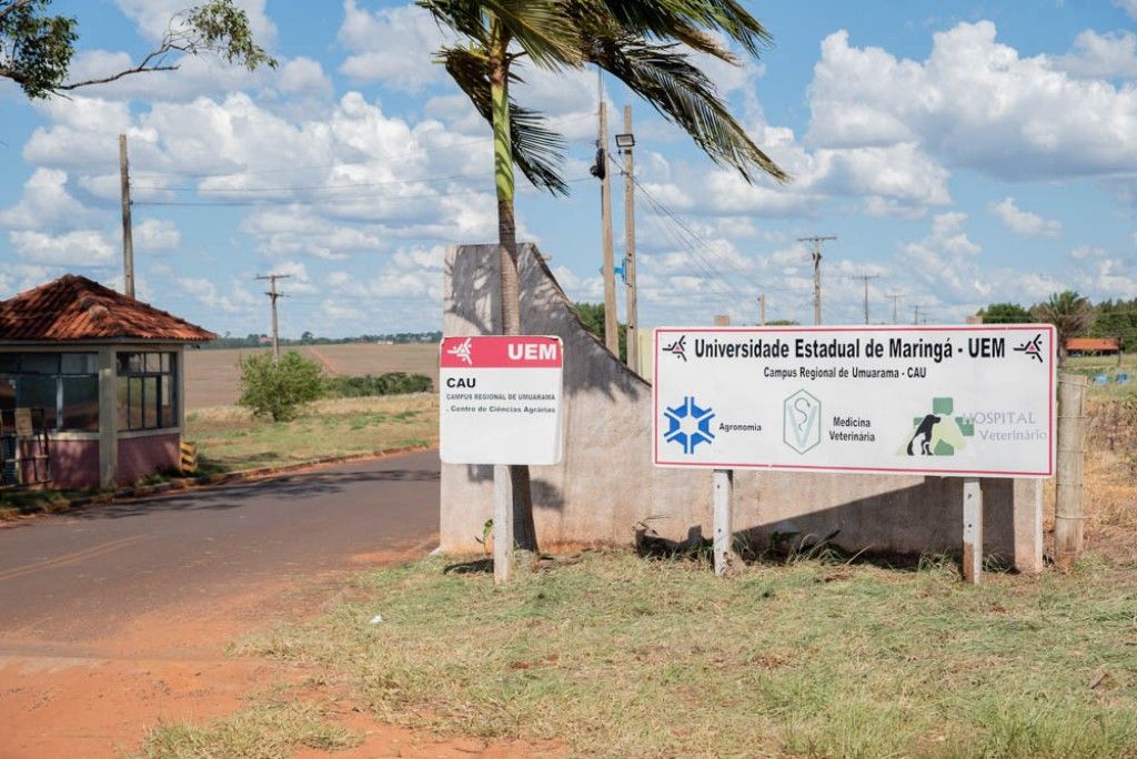 UEM divulga datas dos processos especiais de ingresso na instituição de ...