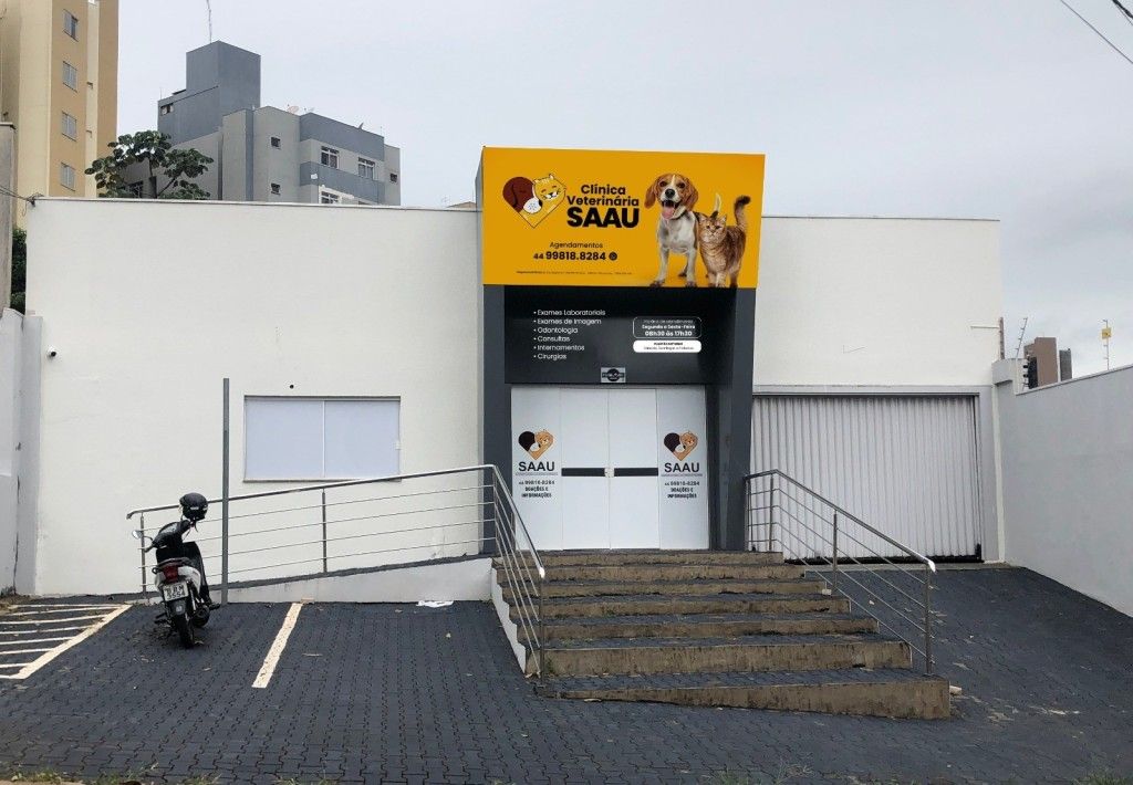 Clínica veterinária da Saau inicia atendimento nesta sexta-feira em ...
