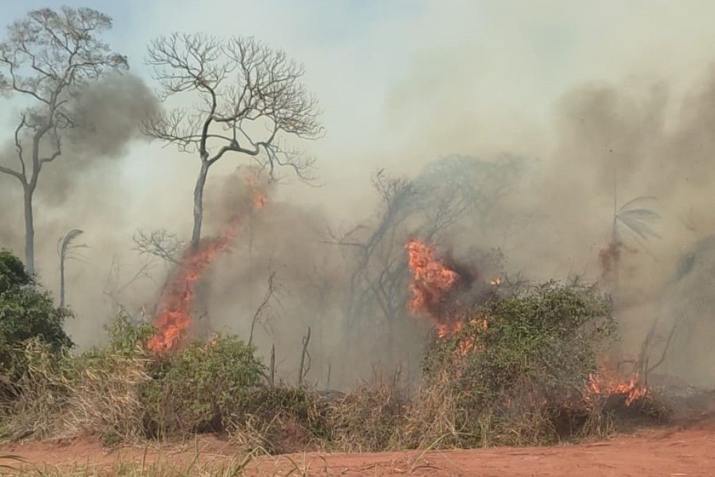 Incêndio de grandes proporções atinge área de mata na região de Douradina