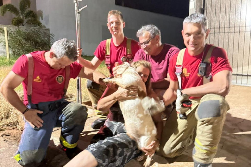 Resgate de Chifu em Umuarama mobiliza vizinhos e Corpo de Bombeiros ...