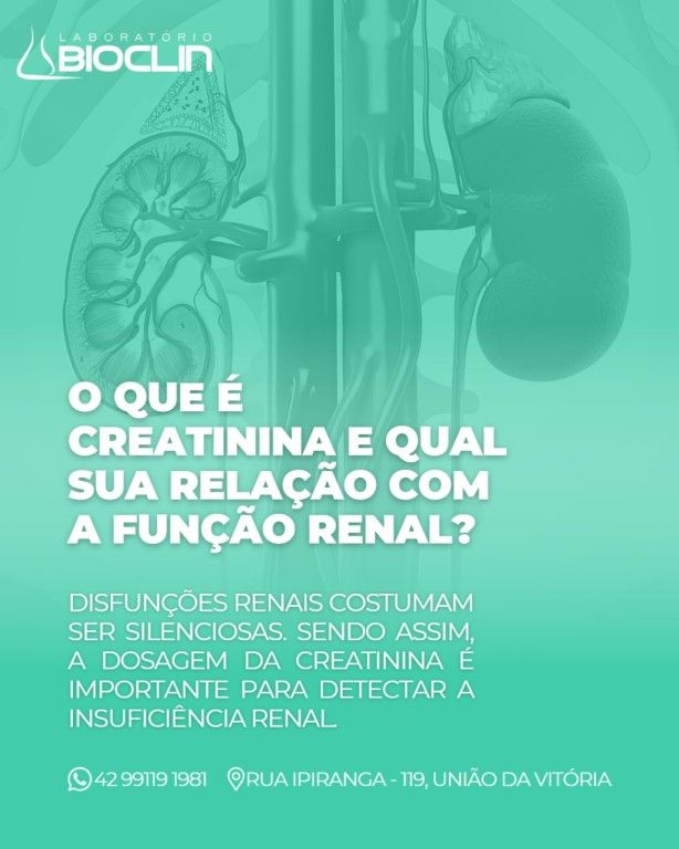 O que é a creatinina e o qual sua relação com a função renal?